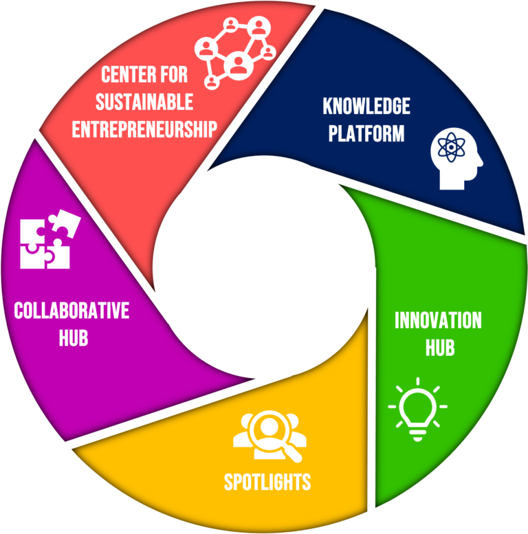 SENIC Strategy 2025-2030 - Sustainable Entrepreneurship and Innovation ...